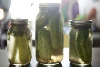 Half Sour Pickles - New York Crunchy pickles recipe!