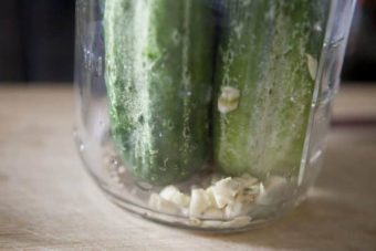 Half Sour Pickles - New York Crunchy pickles recipe!