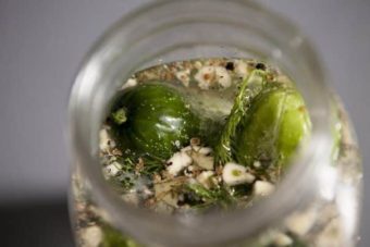 Half Sour Pickles - New York Crunchy pickles recipe!