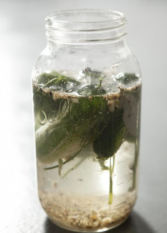 Half Sour Pickles - New York Crunchy pickles recipe!