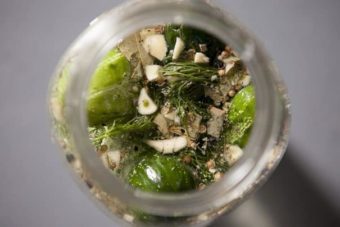 Half Sour Pickles - New York Crunchy pickles recipe!