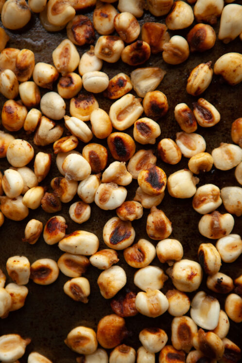 Roasted Corn Nuts (Crunchy!) - Brooklyn Farm Girl
