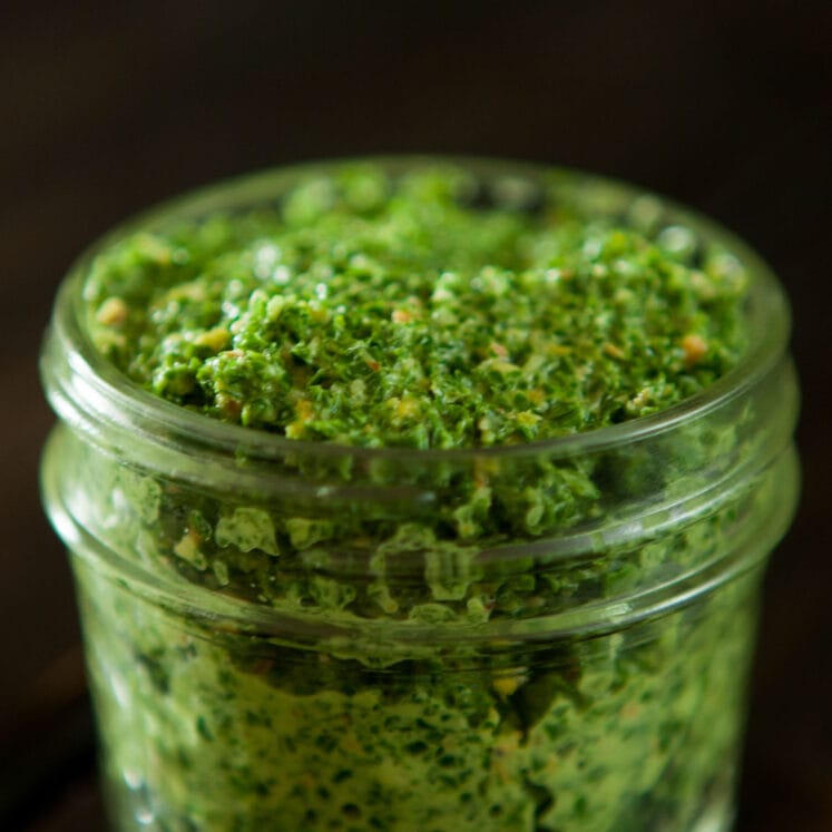 Creamy and Fresh Kale Pesto - Brooklyn Farm Girl