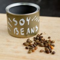 Dried Edamame Recipe - Brooklyn Farm Girl
