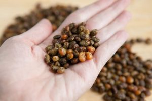 Dried Edamame Recipe - Brooklyn Farm Girl