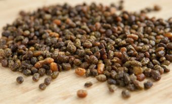 Dried Edamame Recipe - Brooklyn Farm Girl