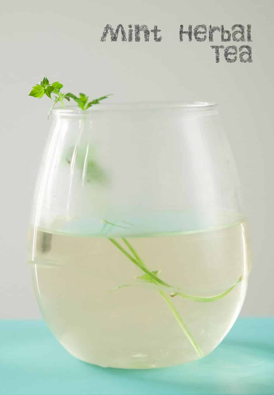 Mint Herbal Tea, My Solution for Headaches - Brooklyn Farm Girl