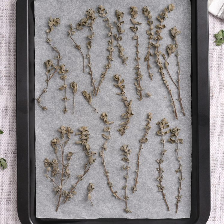 How to Dry Oregano in 1 Hour - Easy Oven Drying Method
