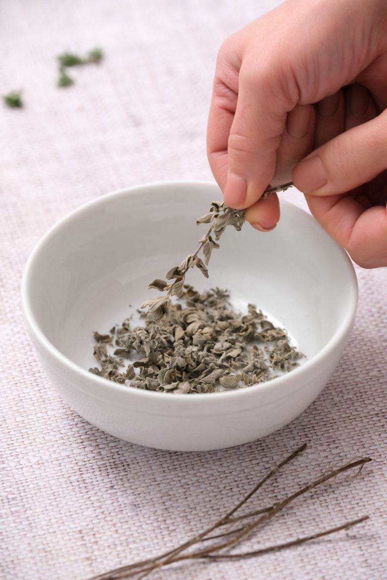 How to Dry Oregano in 1 Hour - Easy Oven Drying Method