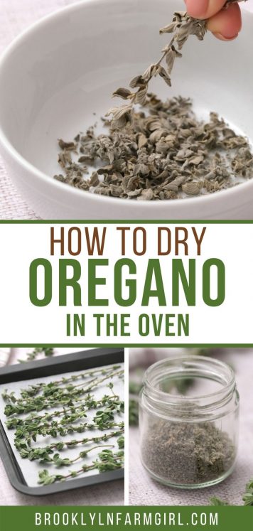How to Dry Oregano in 1 Hour - Easy Oven Drying Method