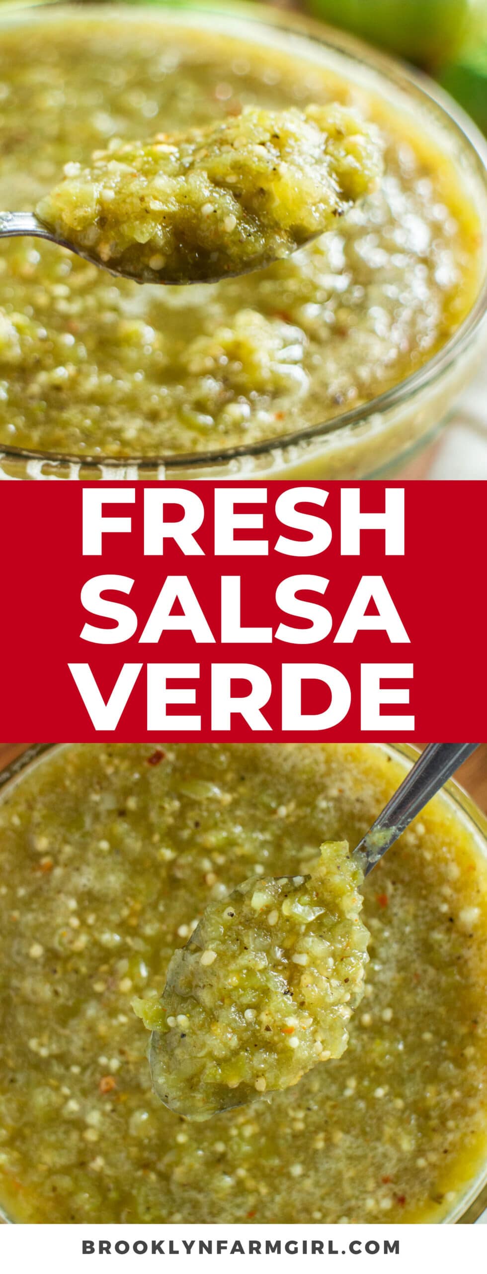 Fresh Tomatillo Salsa Verde (Blender Recipe) - Brooklyn Farm Girl