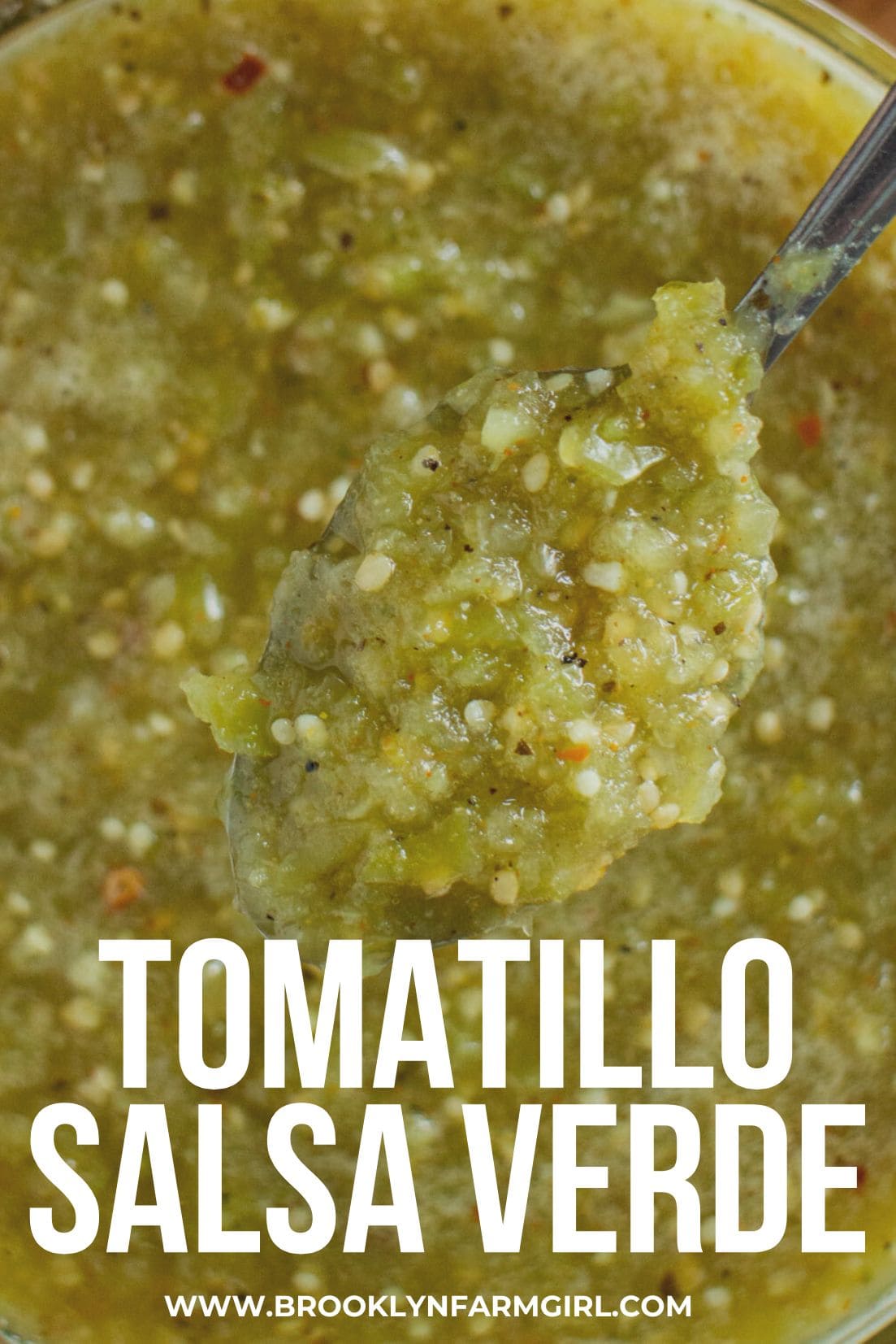Fresh Tomatillo Salsa Verde (Blender Recipe) - Brooklyn Farm Girl