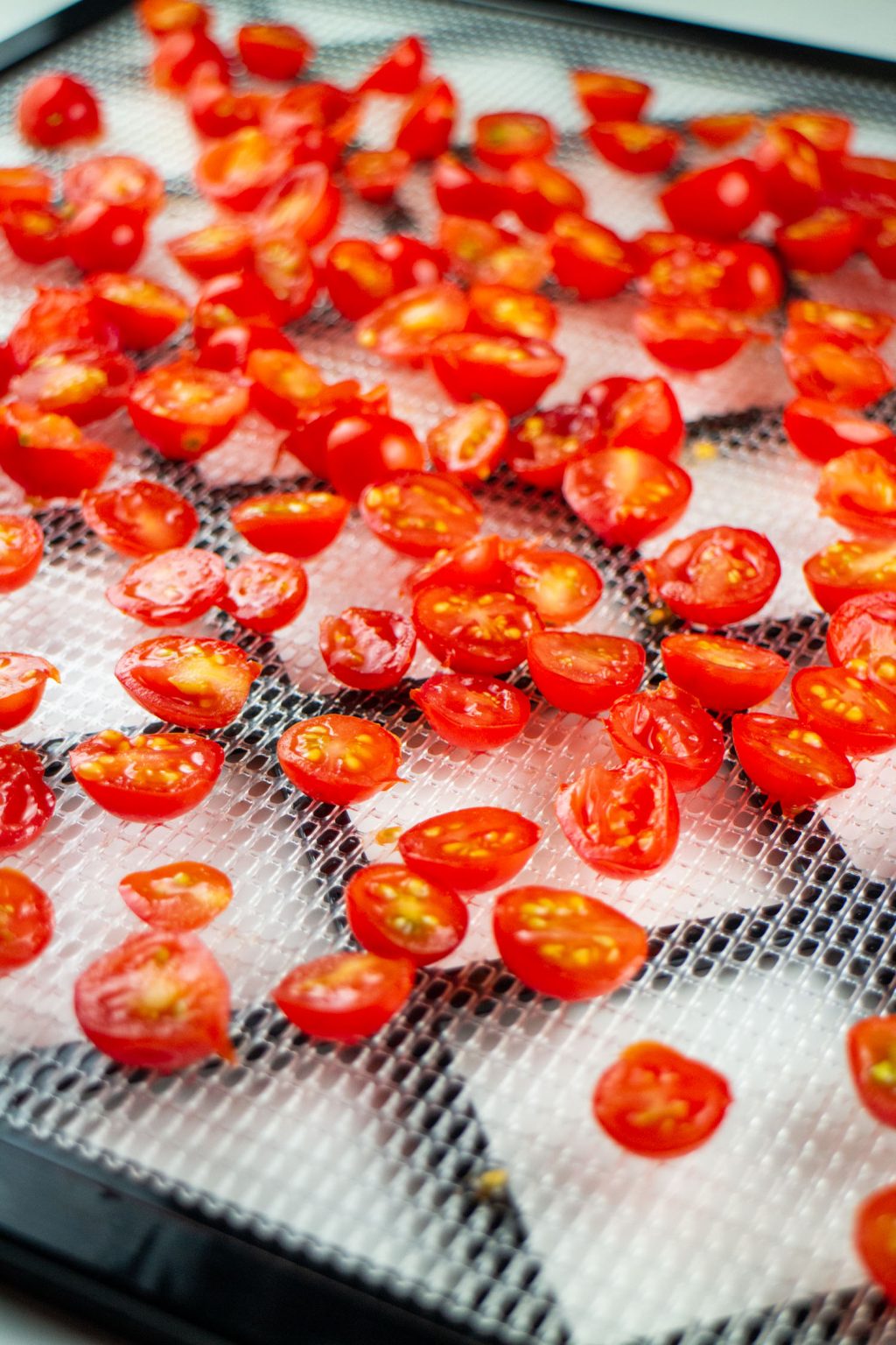 How to Dehydrate Cherry Tomatoes - Brooklyn Farm Girl