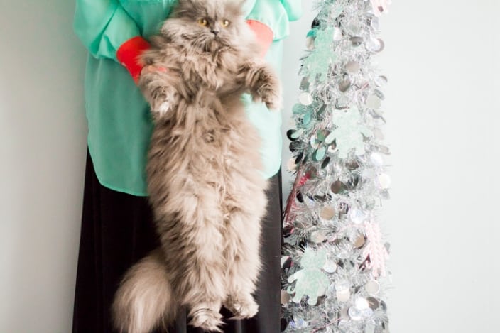 How to Make Holiday Cat Garland - Brooklyn Farm Girl