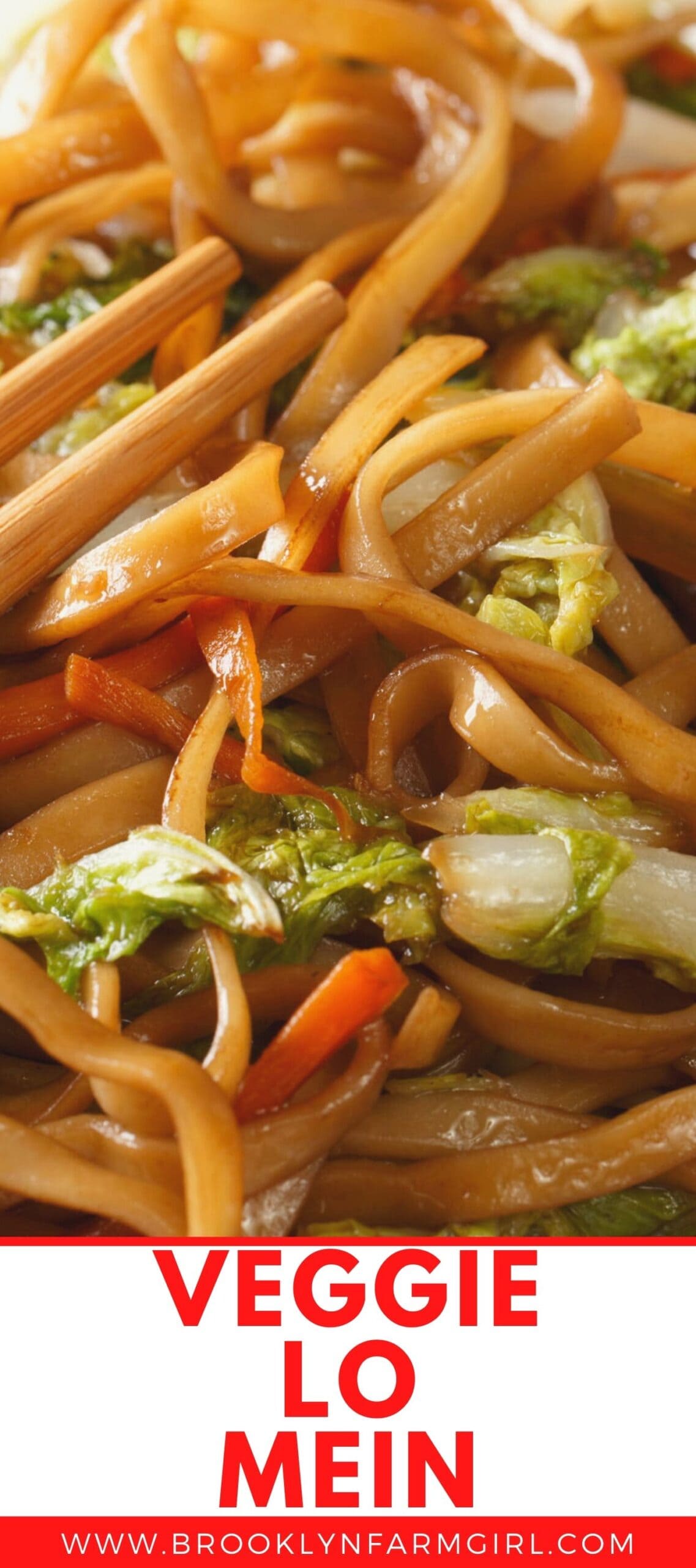 Vegetable Lo Mein with Cabbage and Broccoli - Brooklyn Farm Girl