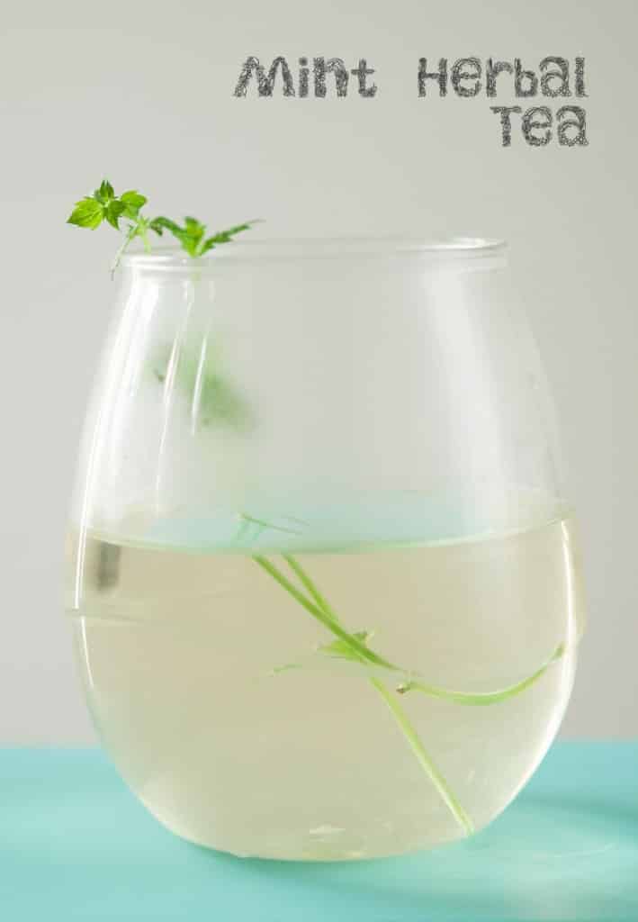 Mint Herbal Tea, My Solution for Headaches - Brooklyn Farm Girl