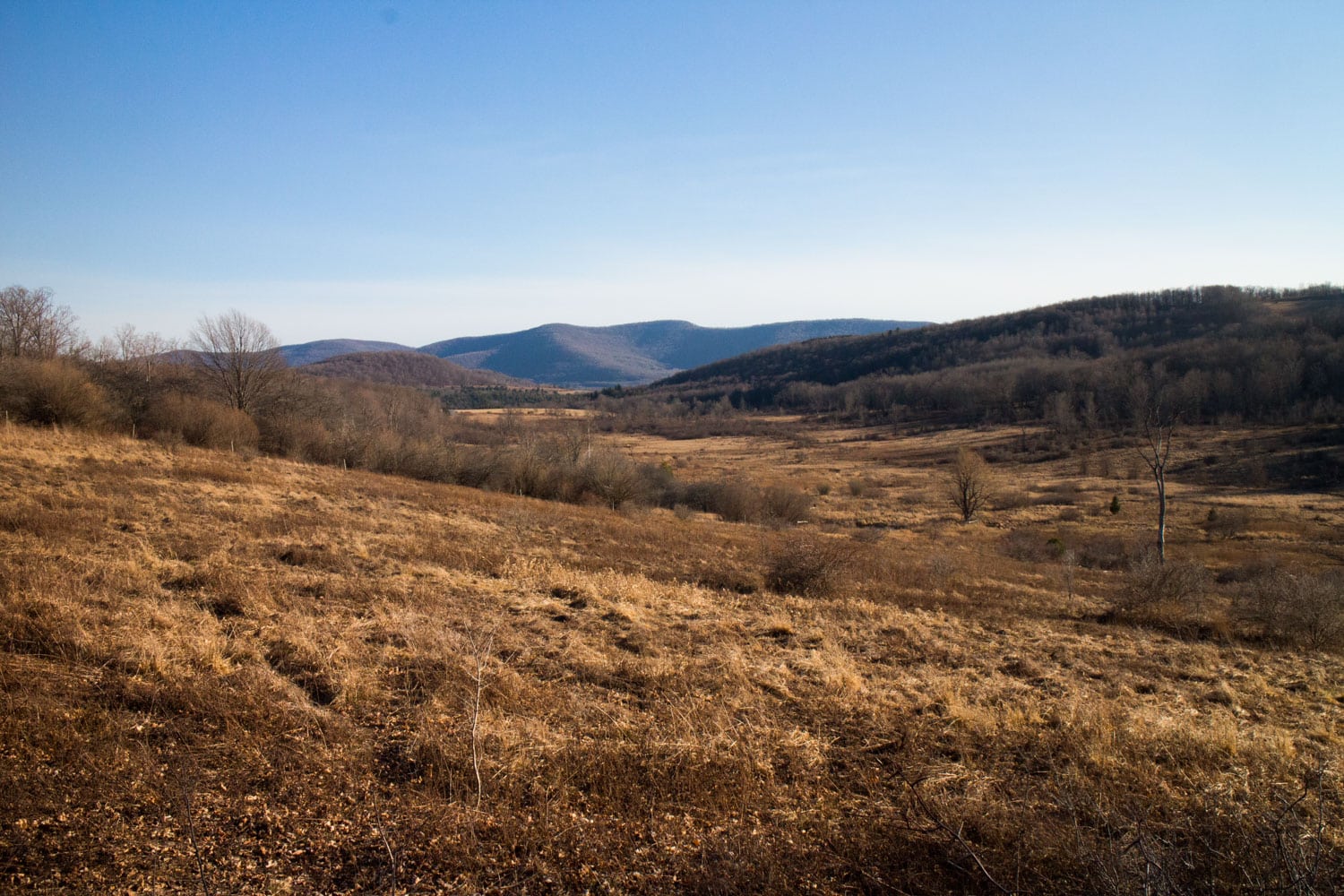 Quick Visit to the Land - Setting up Cameras, Getting Ready for the ...