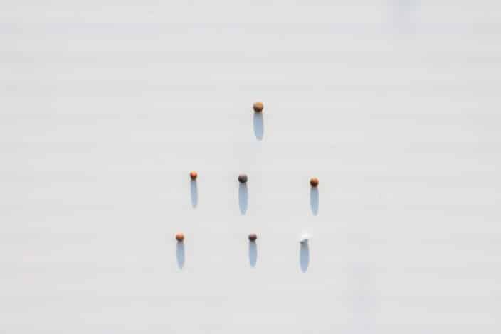 Spring seeds are planted! Come cheer them on! - Brooklyn Farm Girl