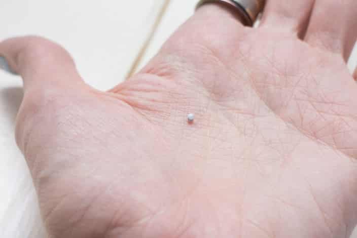 Spring seeds are planted! Come cheer them on! - Brooklyn Farm Girl