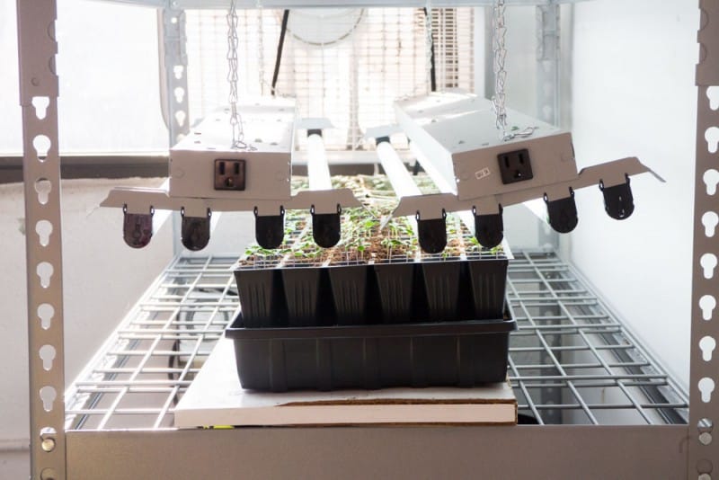 How to Make Your Own DIY Seed Grow Light Stand! - Brooklyn Farm Girl