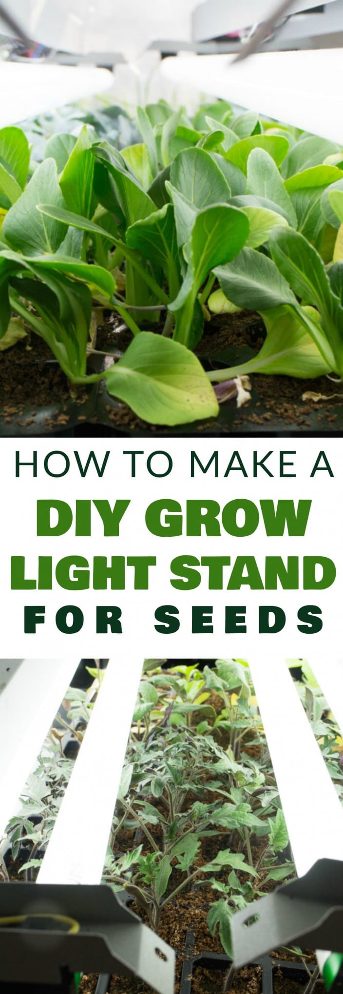 How to Make Your Own DIY Seed Grow Light Stand! - Brooklyn Farm Girl