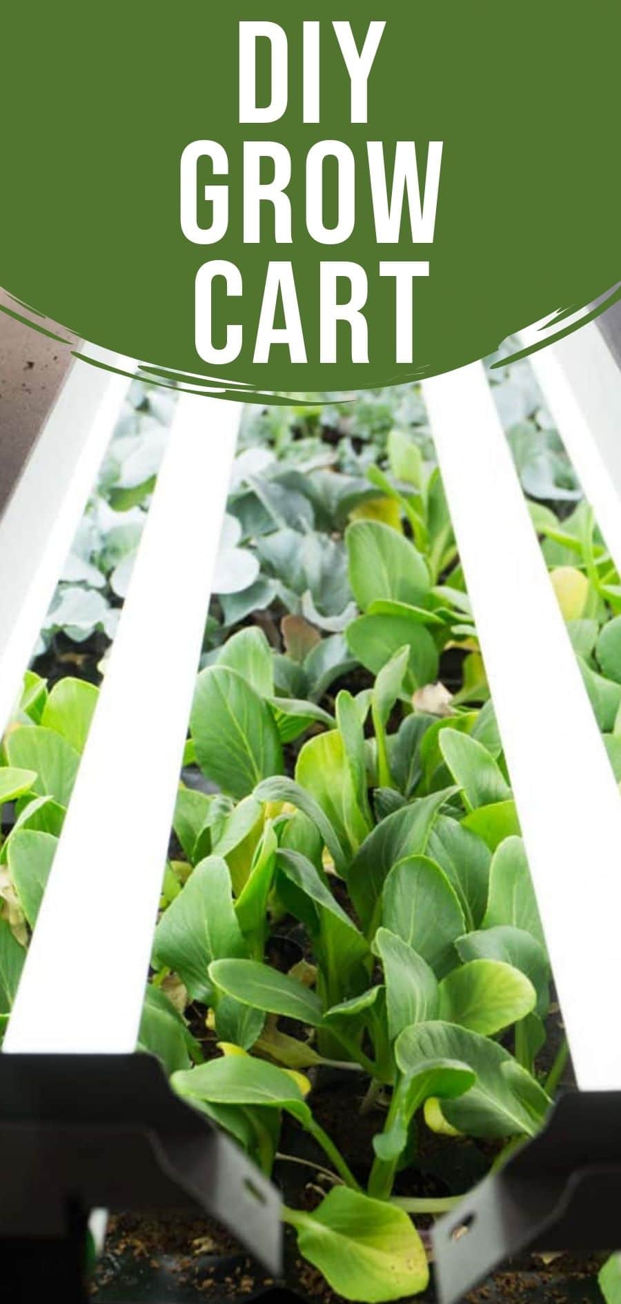 How to Make Your Own DIY Seed Grow Light Stand! - Brooklyn Farm Girl