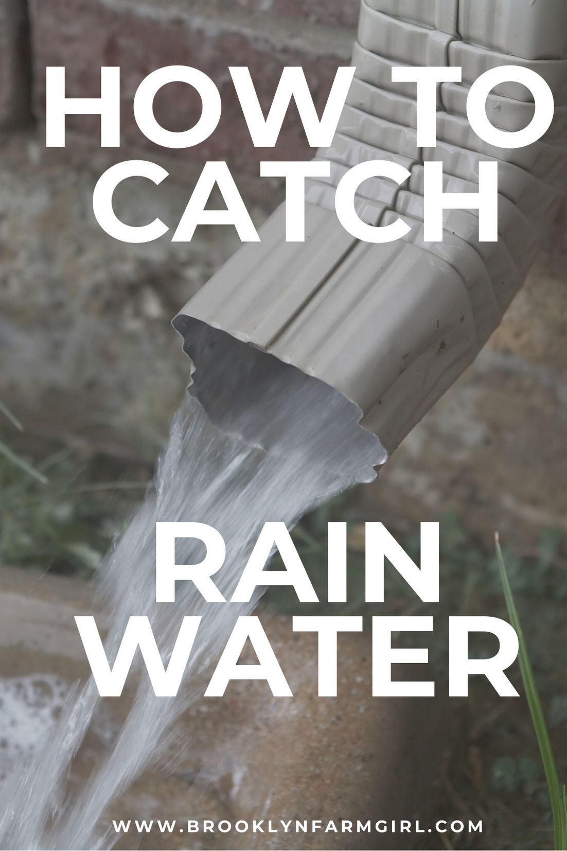 How to Build a Rainwater Catchment On a Shed Roof - Brooklyn Farm Girl