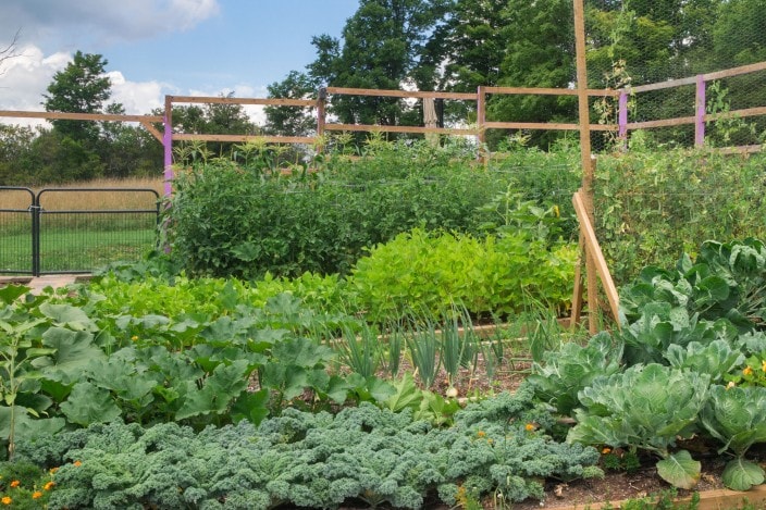 2016 Vegetable Garden Totals in Pounds - Brooklyn Farm Girl