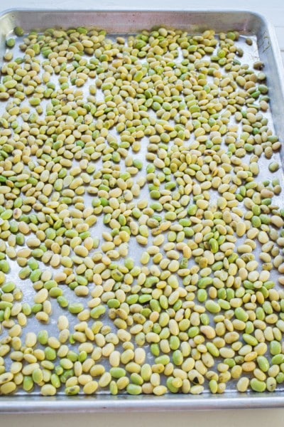Roasted Soybeans - Brooklyn Farm Girl