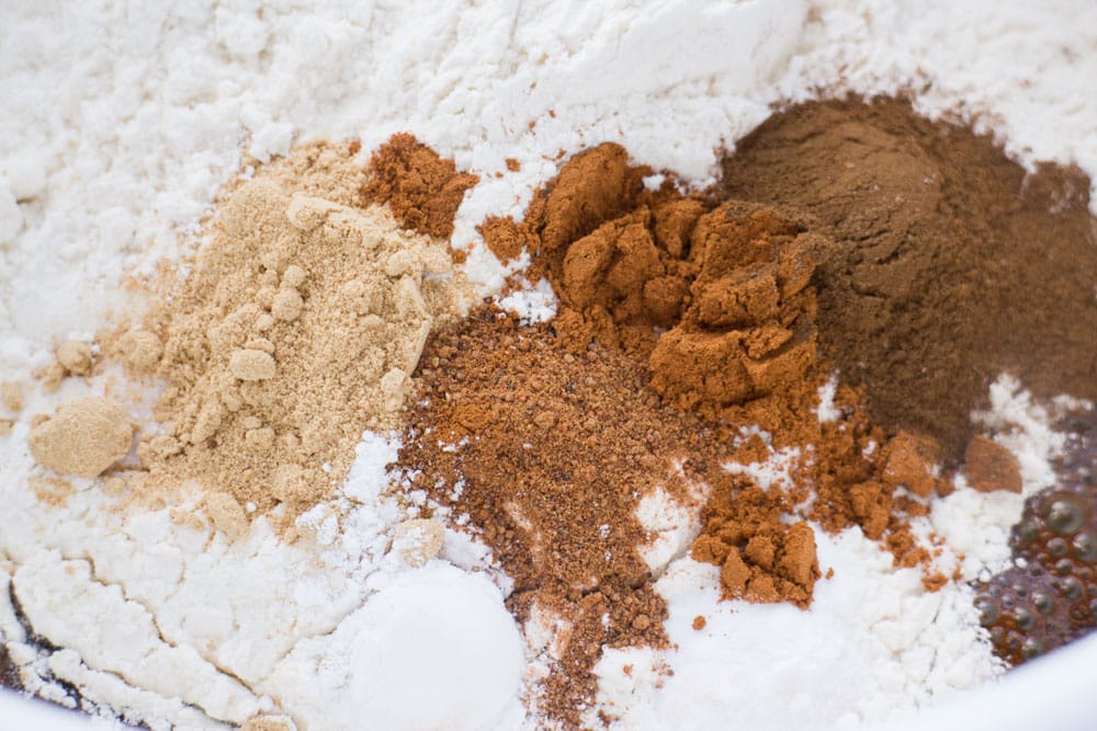 Powered Sugar GINGERBREAD Cookies - Soft and Chewy!