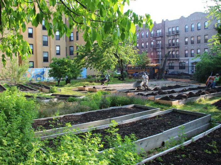 Where can I compost in Brooklyn? - Includes Drop Off Locations