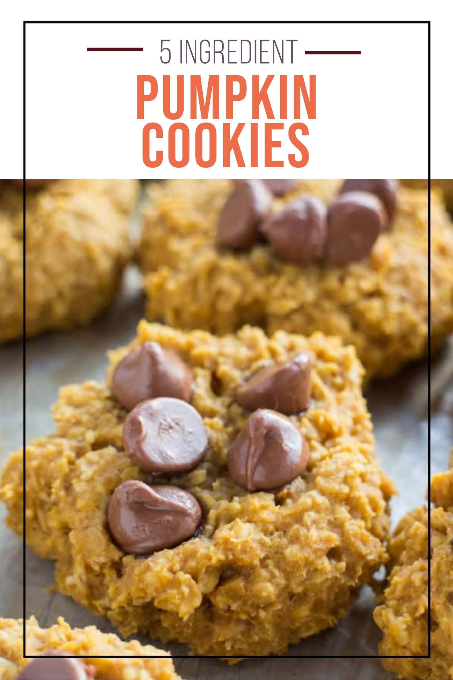5 Ingredient Healthy Pumpkin Cookies - Brooklyn Farm Girl
