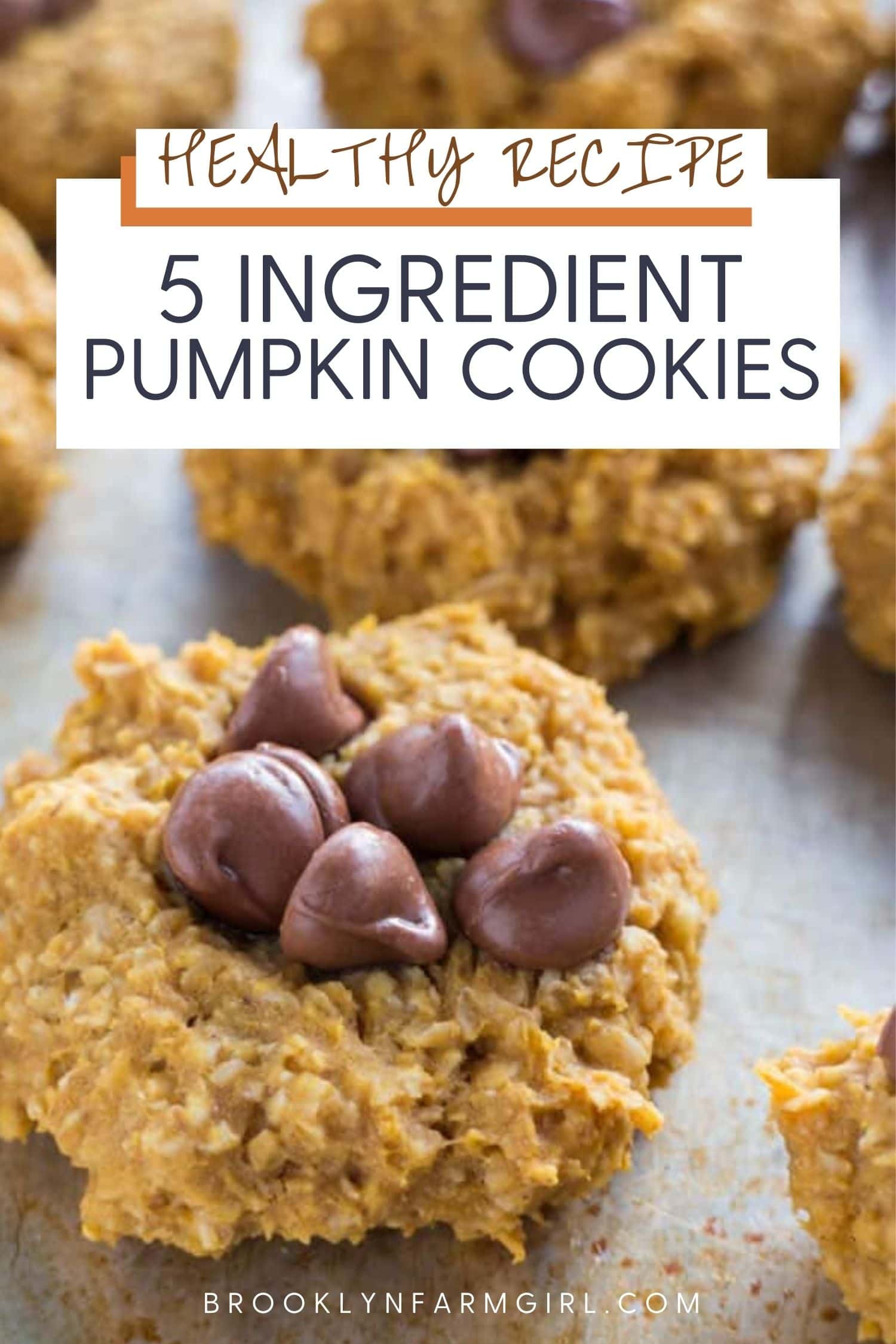 5 Ingredient Healthy Pumpkin Cookies - Easy To Make Recipe!