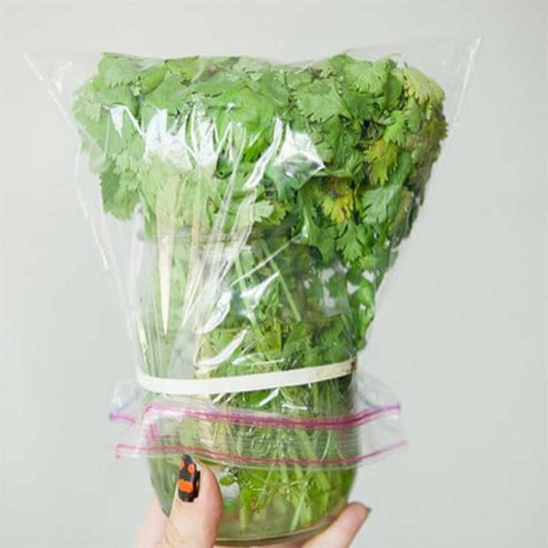 How to Store Cucumbers to Last for Weeks - Brooklyn Farm Girl