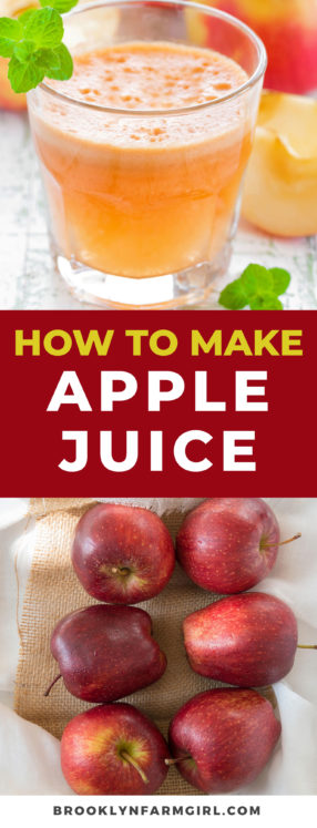 How To Make Apple Juice With a Juicer - Easy Recipe!