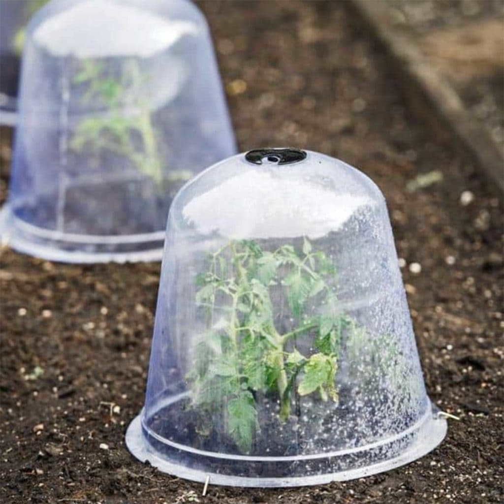 How To Make a Sub Irrigated Planter - Make Your Own Container Garden!
