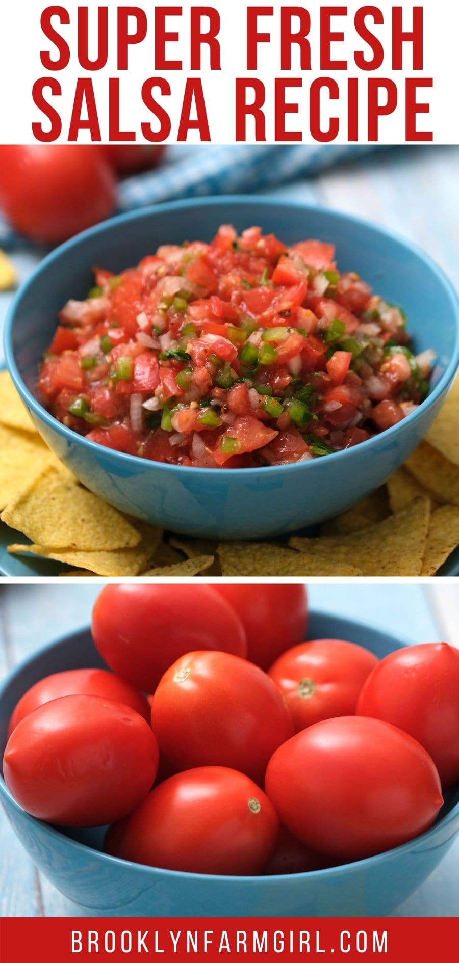 Fresh Tomato Salsa - Easy Homemade Salsa Recipe