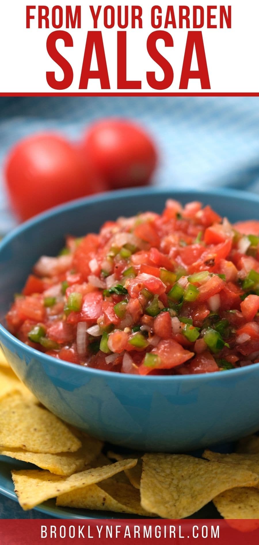 Fresh Tomato Salsa - Easy Homemade Salsa Recipe