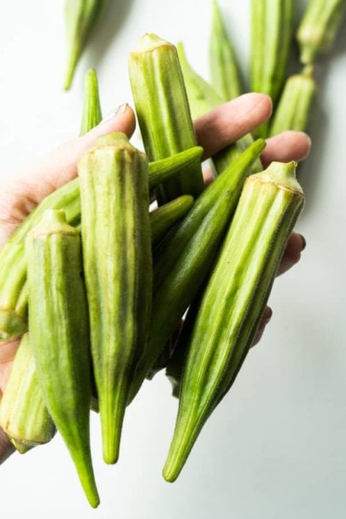 Half Sour Pickled Okra - Easy Crunchy Okra Made in Refrigerator!