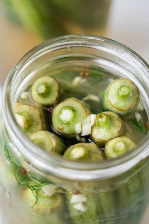 Half Sour Pickled Okra - Easy Crunchy Okra Made in Refrigerator!