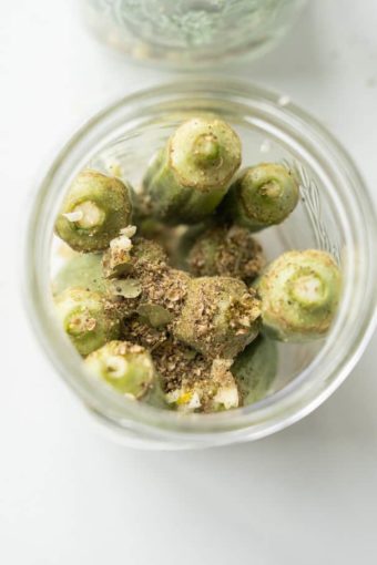 Half Sour Pickled Okra - Easy Crunchy Okra Made in Refrigerator!