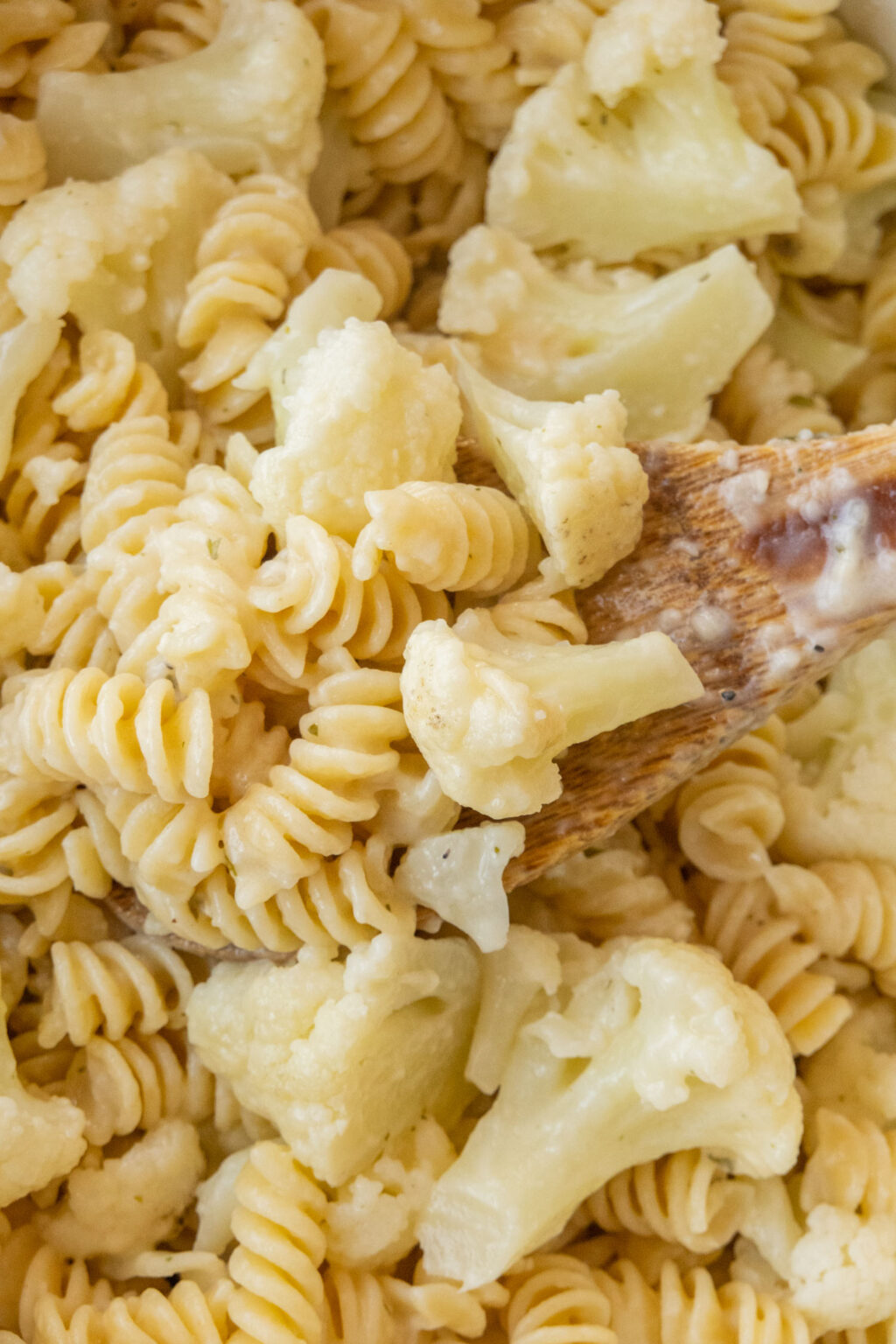 Creamy Cauliflower Pasta (Parmesan Cheese Sauce) - Brooklyn Farm Girl