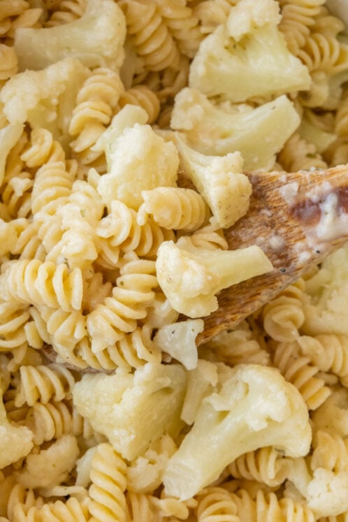Creamy Cauliflower Pasta (Parmesan Cheese Sauce) - Brooklyn Farm Girl