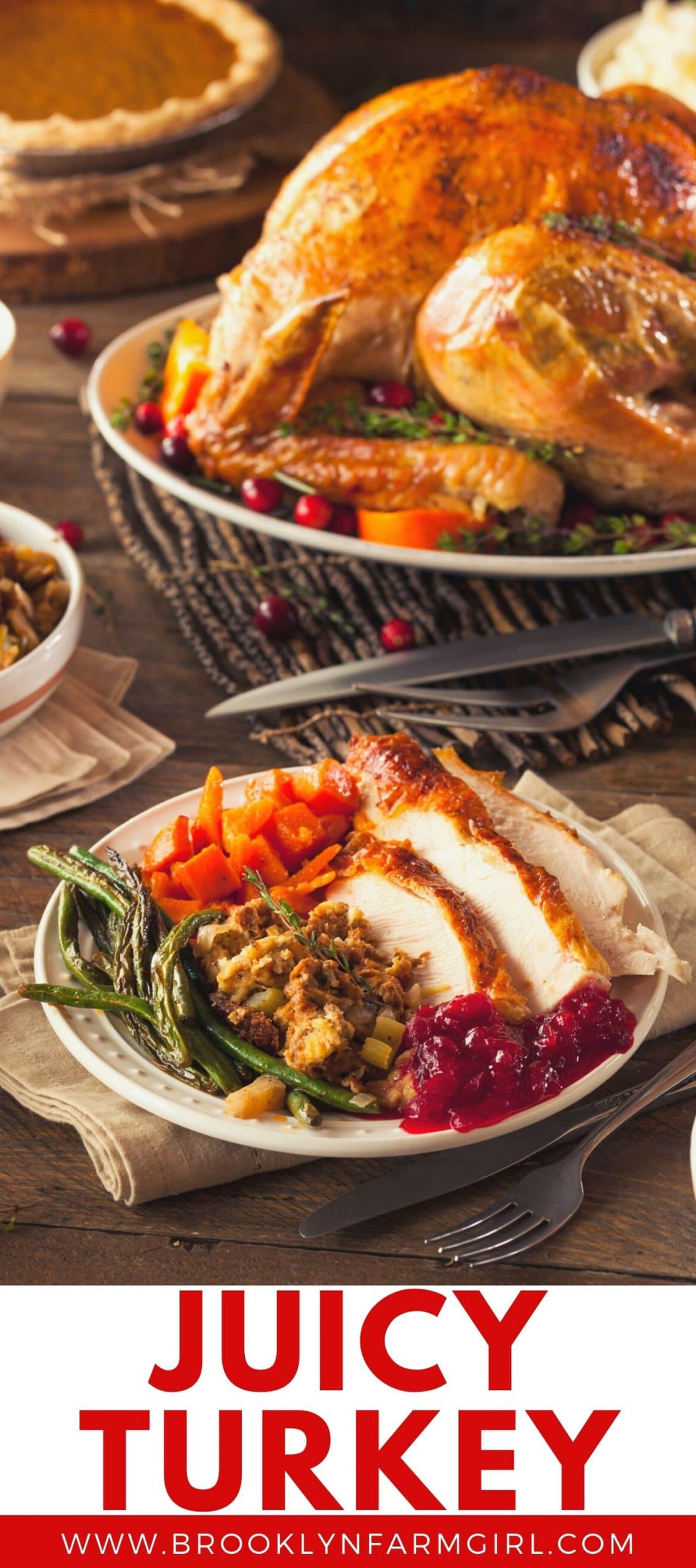 How to Make a Juicy Turkey - How to Cook a Perfect Turkey!