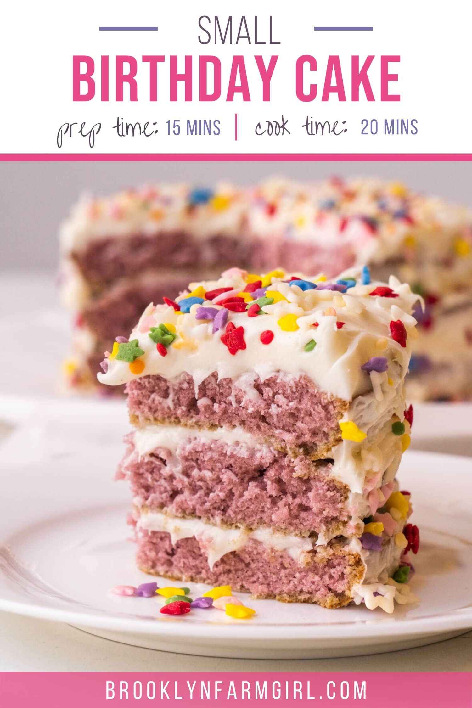 Small Birthday Cake (Family of 5) - Brooklyn Farm Girl