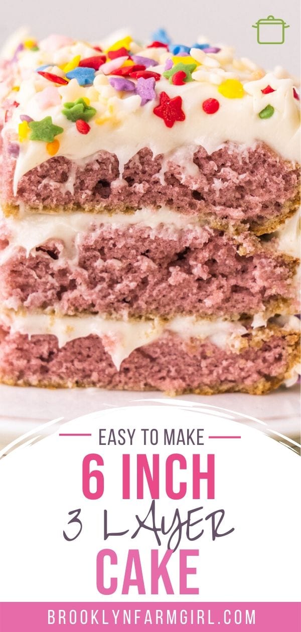 Small Birthday Cake (Family of 5) - Brooklyn Farm Girl