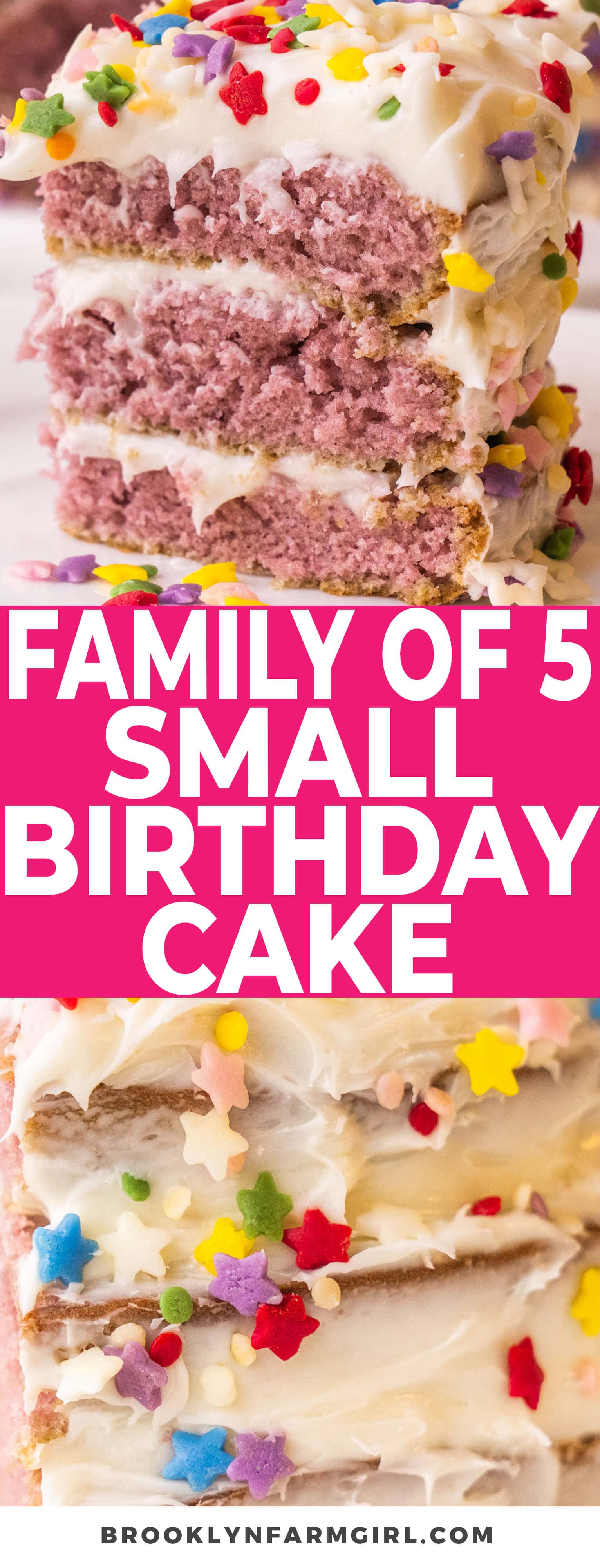 Small Birthday Cake (Family of 5) - Brooklyn Farm Girl