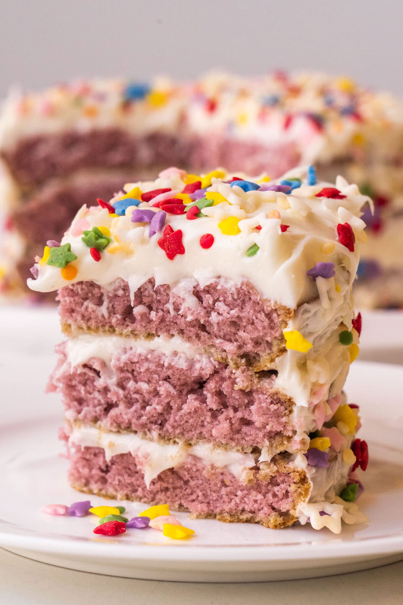 Small Birthday Cake (Family of 5) - Brooklyn Farm Girl