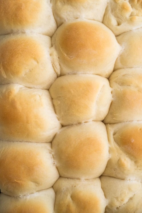 Fluffy Bread Machine Rolls - Brooklyn Farm Girl