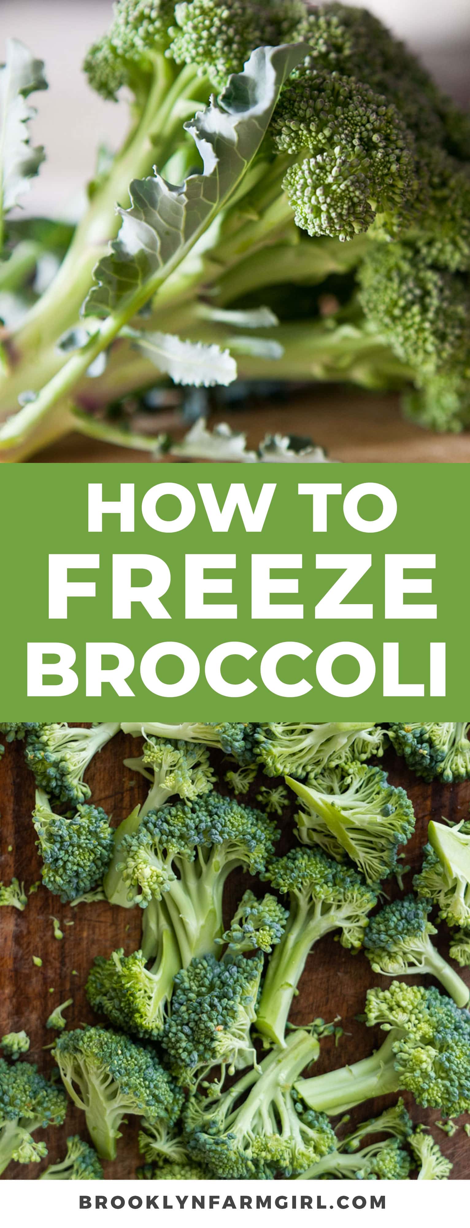 How to Freeze Broccoli for Long-Term Use - Brooklyn Farm Girl